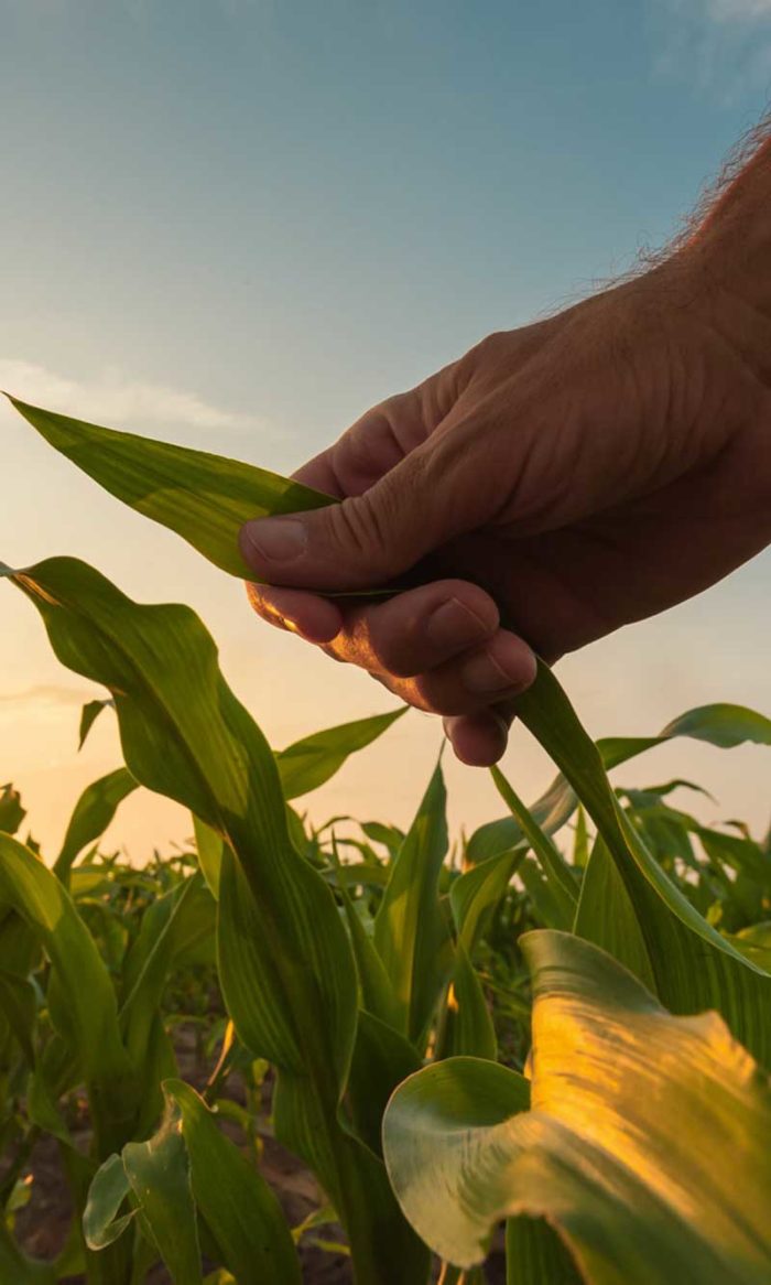 SMP Agro - Pomocnicze środki dla rolnictwa